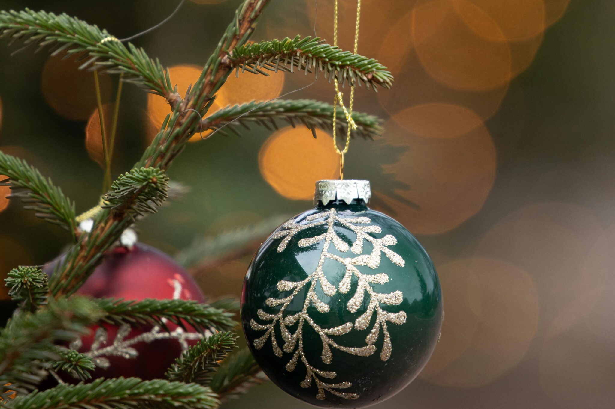 Christmas Traditions: How They Begin, How They Evolve, How They Endure